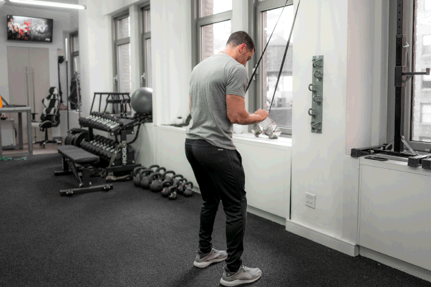 Triceps Pushdowns Vs Triceps Dips For Your Arms