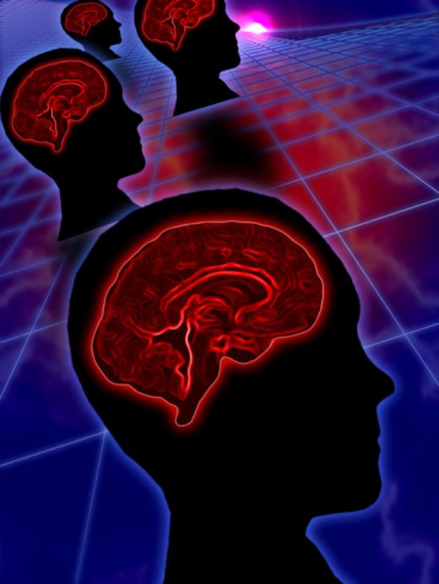 Temporal Lobe Functions Livestrong