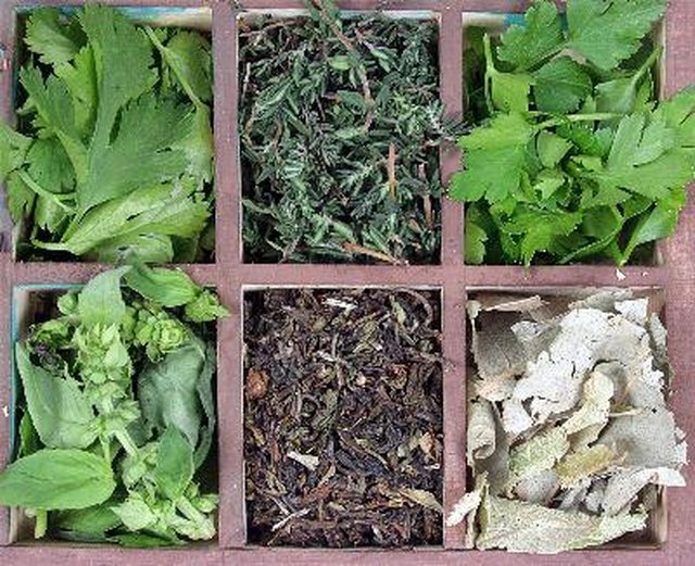 The Best Herbal Remedies For Lung Cancer